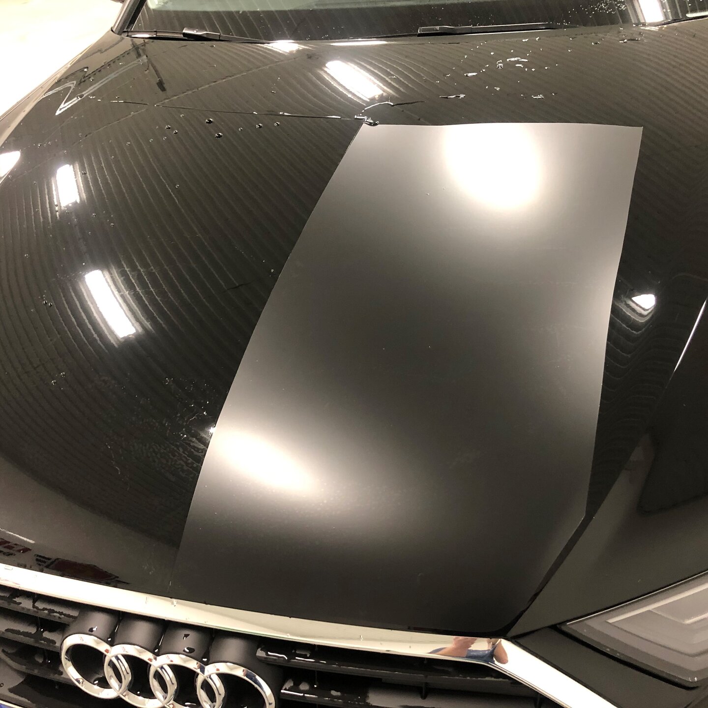 GSWF Defender Hydro | PPF | Scandraft