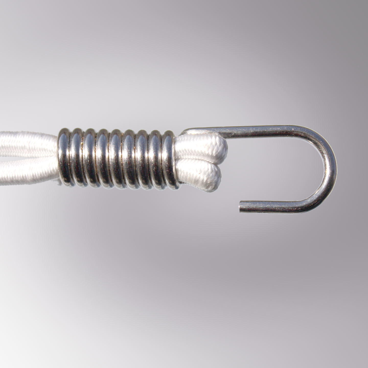 Shop Bungee Cords at Scandraft